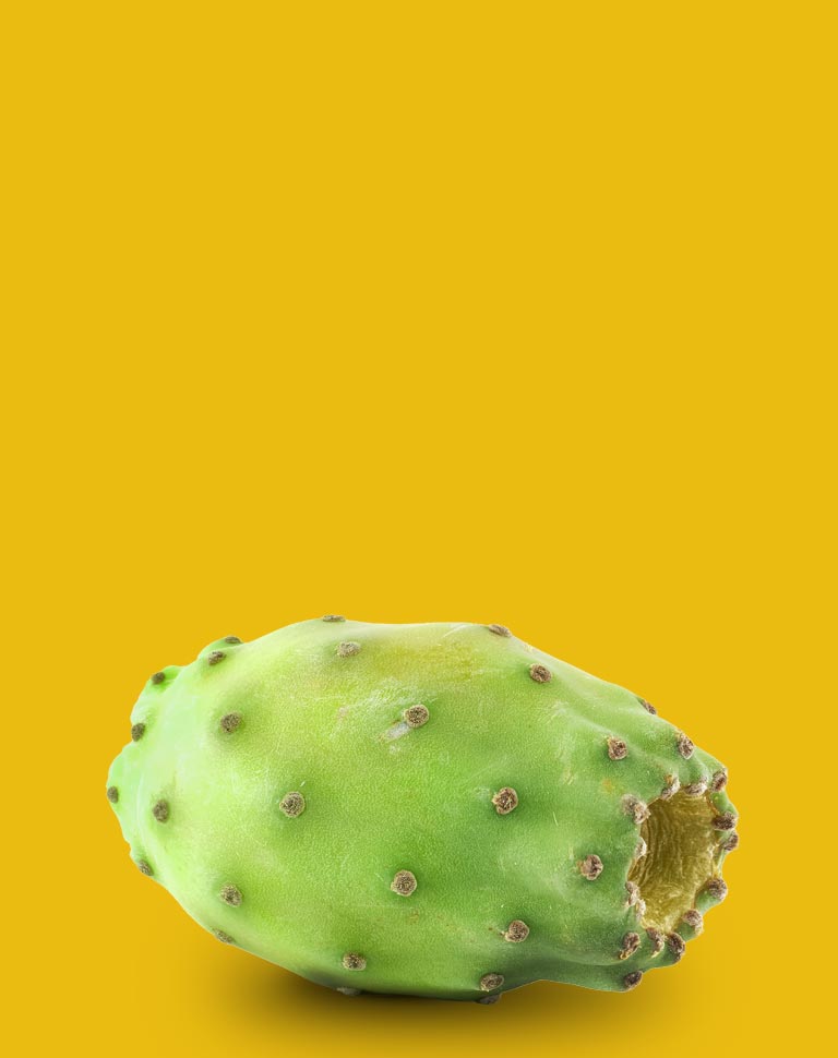 Available Fruit - Vrugte Uit Die Boord